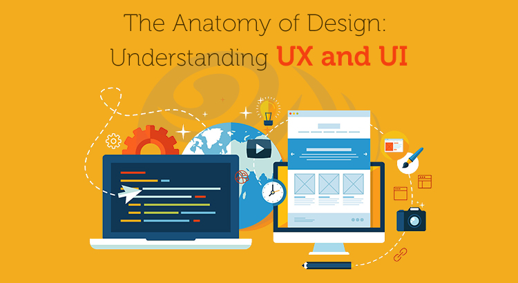 The significant anatomy to understand UX and UI design.